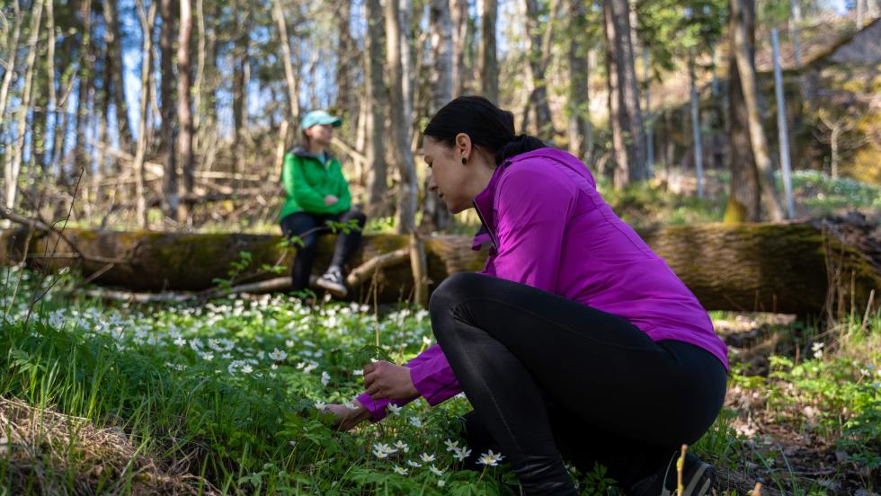 Liikunta ja ulkoilu | Vantaa
